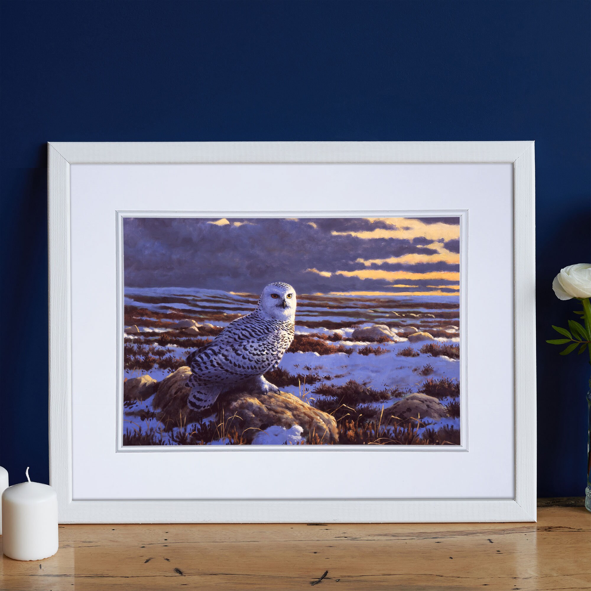 Snowy Owl Print | Julian Friers - Double Mounted - British Wildlife Art ...