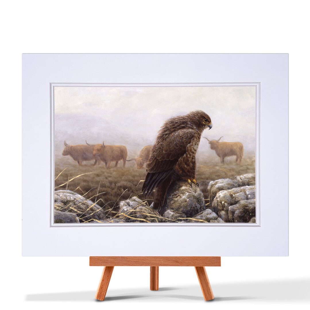 Buzzard Bird Print | Julian Friers - Double Mounted - British Wildlife ...