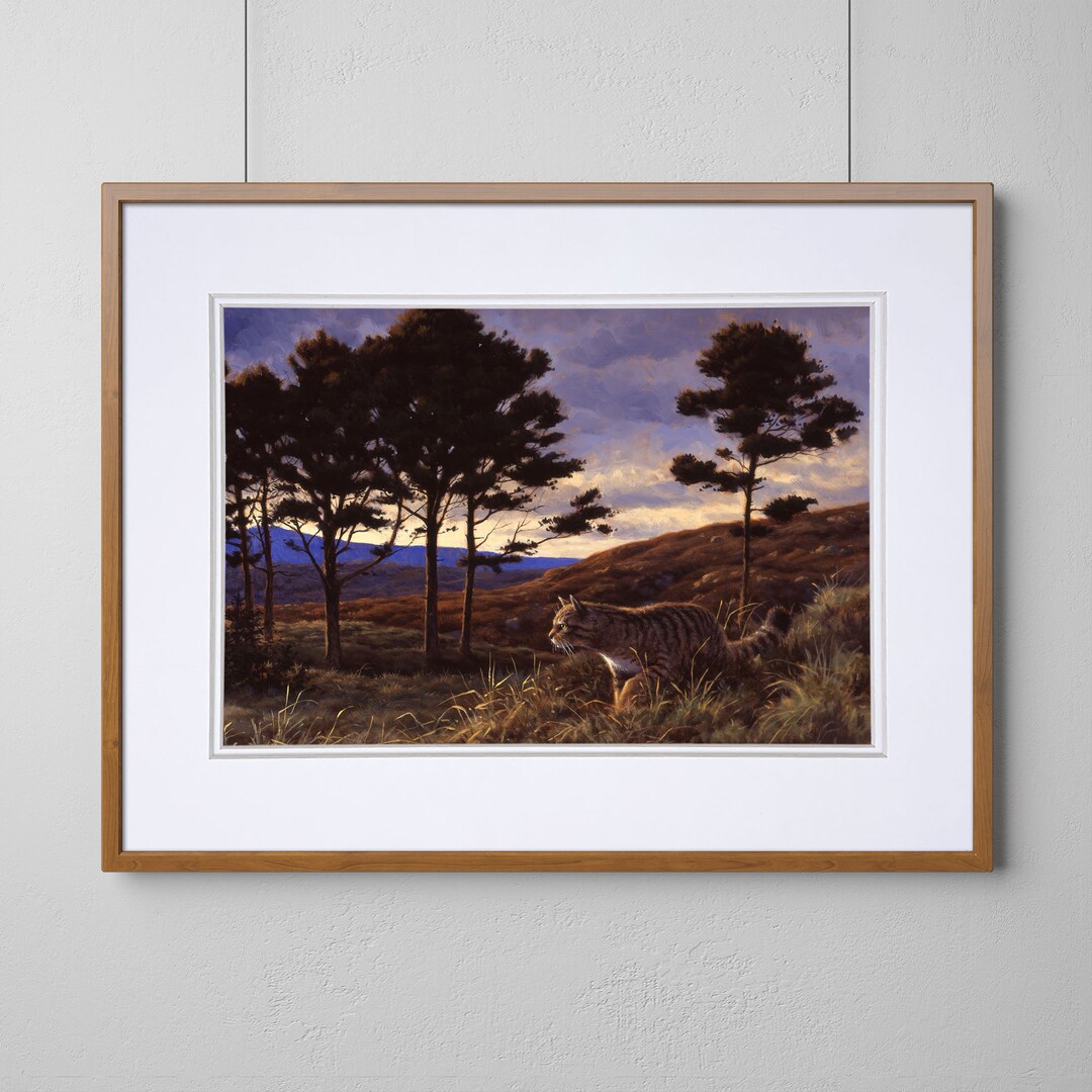 Wildcat Print | Julian Friers - Double Mounted - British Wildlife Art ...