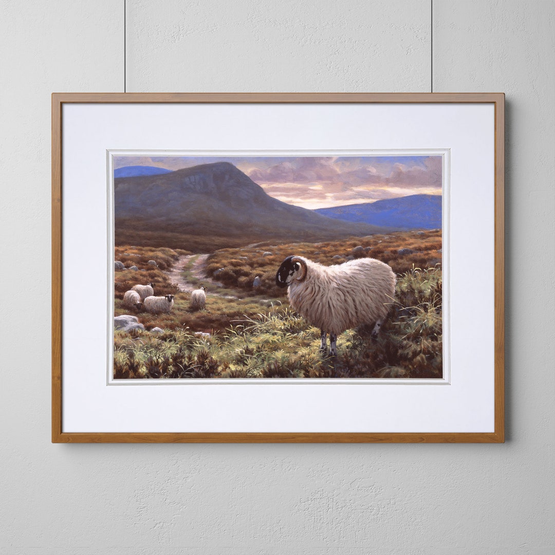 Sheep Print Julian Friers Double Mounted British Wildlife Art Various ...