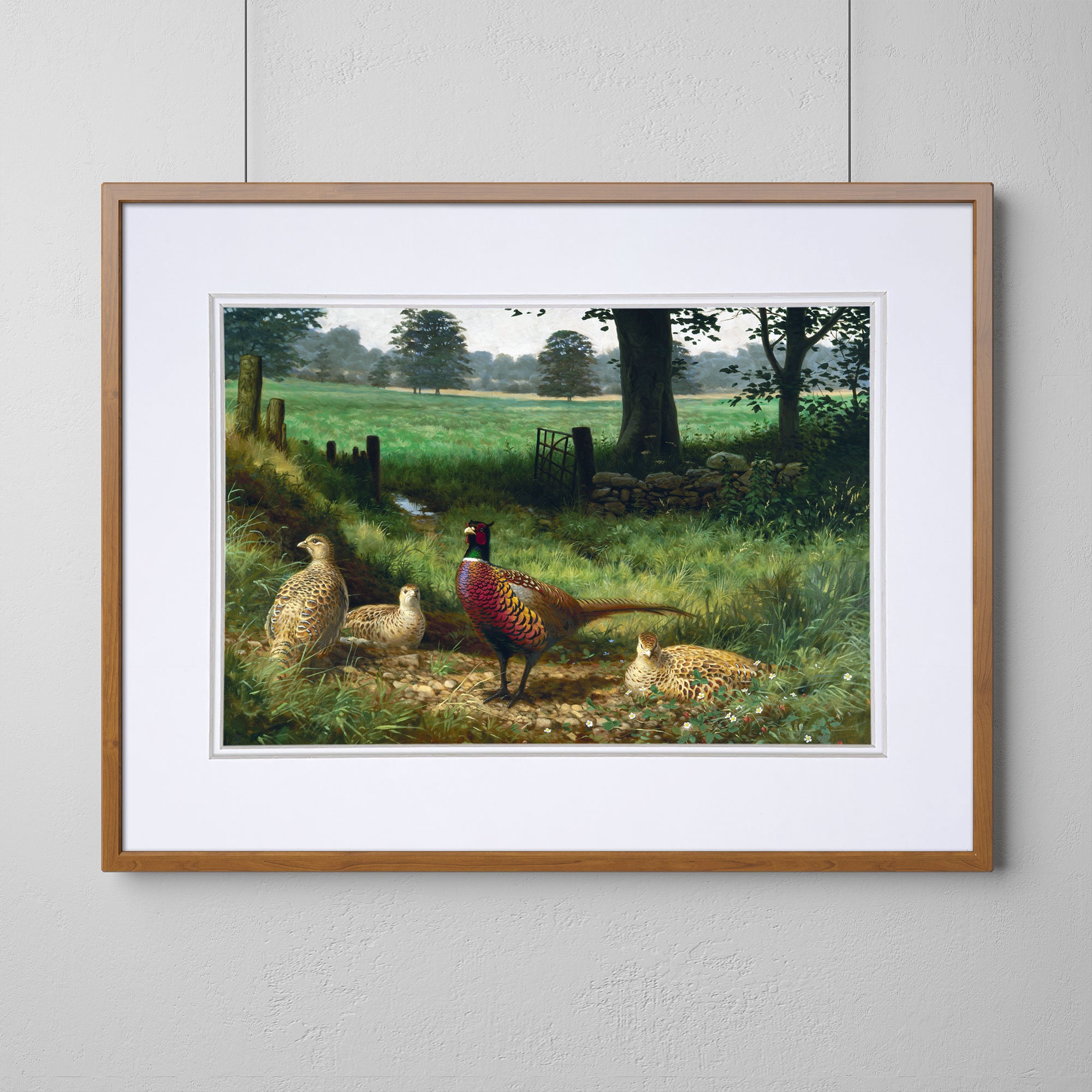 Pheasant Print | Julian Friers - Double Mounted - British Wildlife Art ...