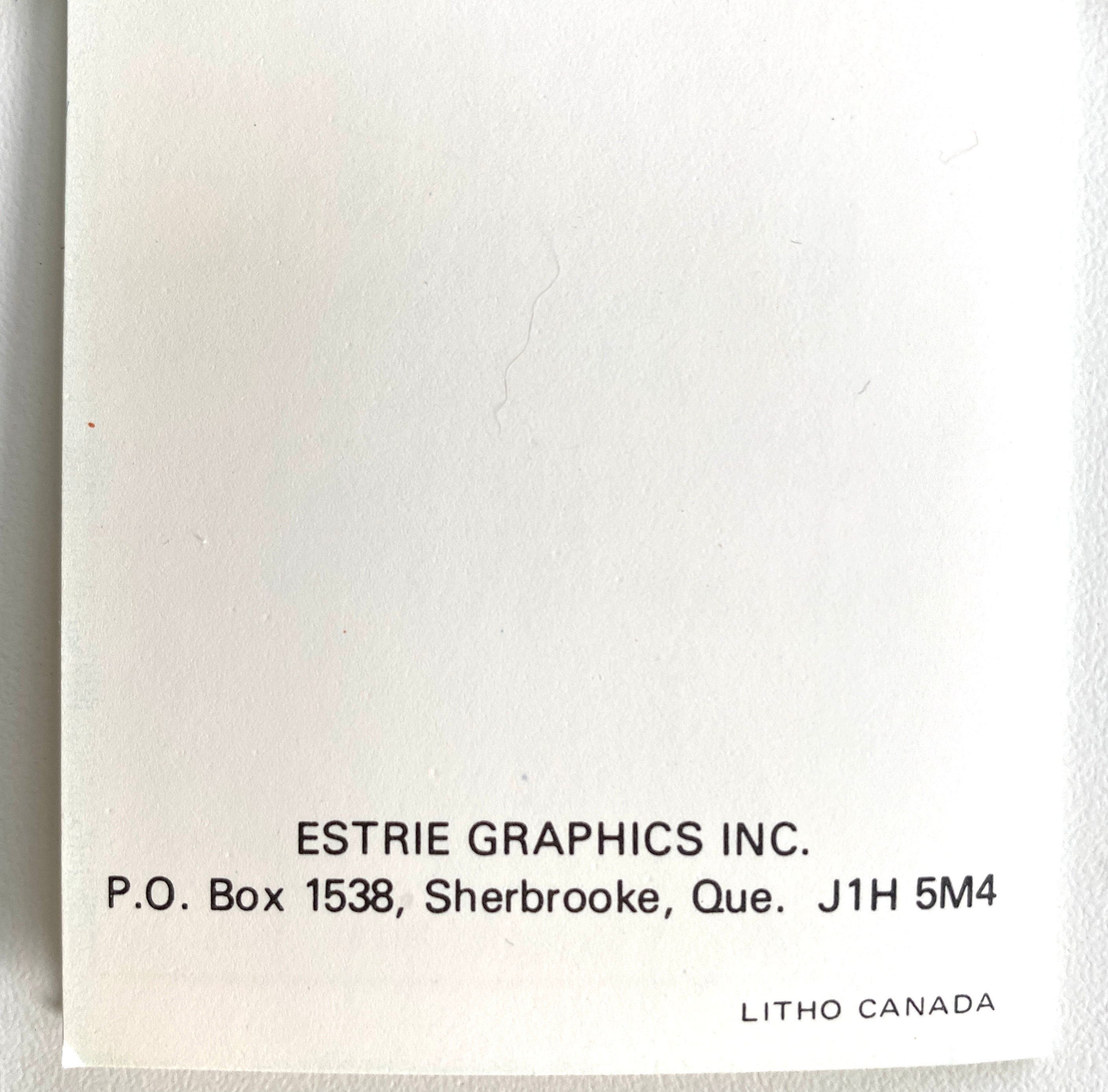 12 Pack Inuit Design Bridge Tally Cards New - Etsy