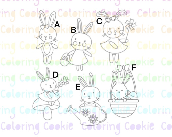 Paint Your Own Bunny PYO Cookie Stencils Mesh SILKSCREEN - Etsy