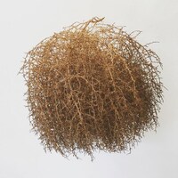 Tumbleweeds! ALL Sizes!!! Wedding Home Decor, Western Theme, Organic ...