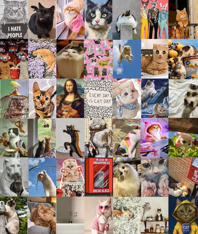 205 Cat Aesthetic Room Decor Collage Kit, Animal VSCO Wall Collage ...