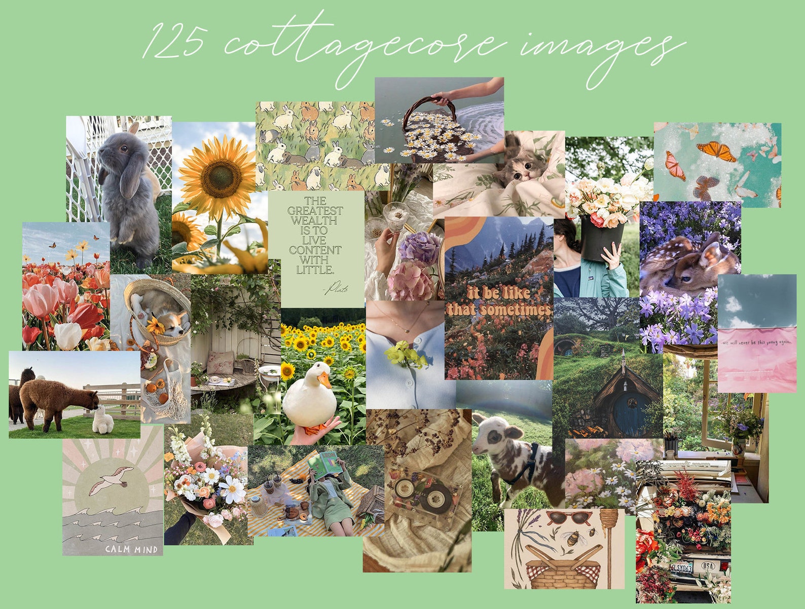 Cottagecore Wall Collage Kit, Photo Wall Collage Kit - Digital Prints ...