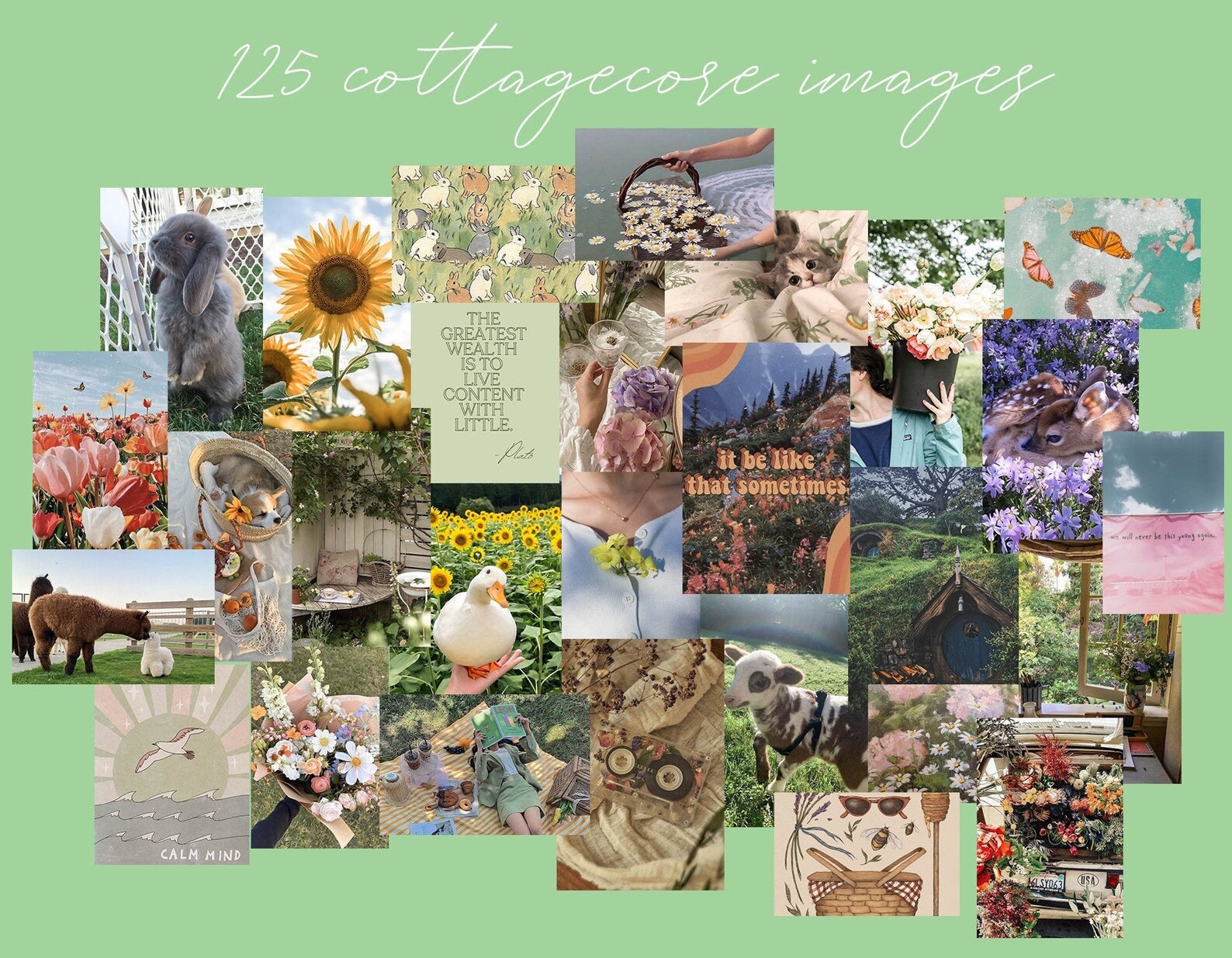 Cottagecore Wall Collage Kit, Vintage Wall Collage Kit Boho ...