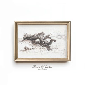 Vintage Tree Snag Sketch Print, Woodlands Forest Tree Branch Stump ...