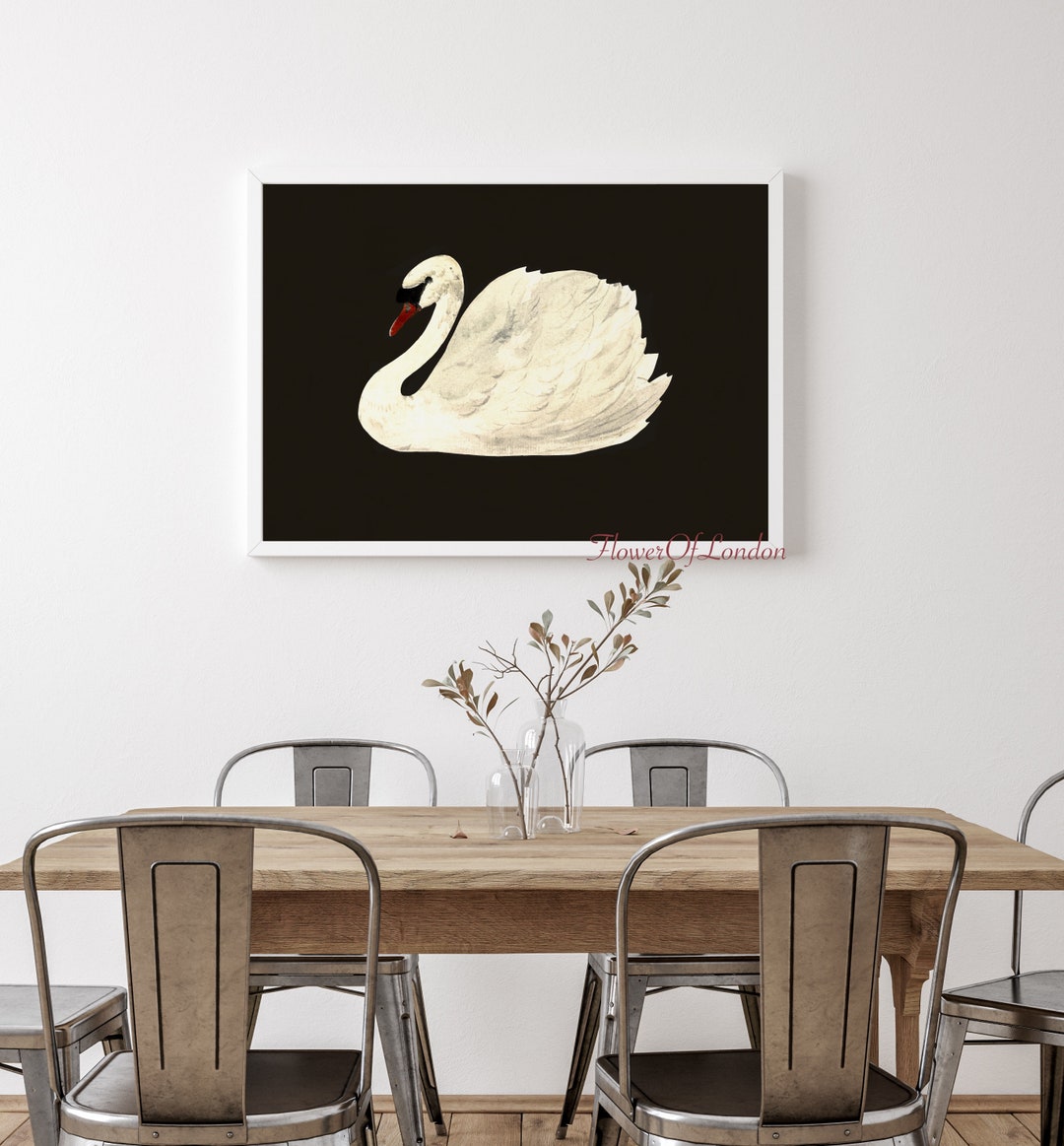 White Swan Print, Black Swan Vintage Painting Print, White Swan in ...