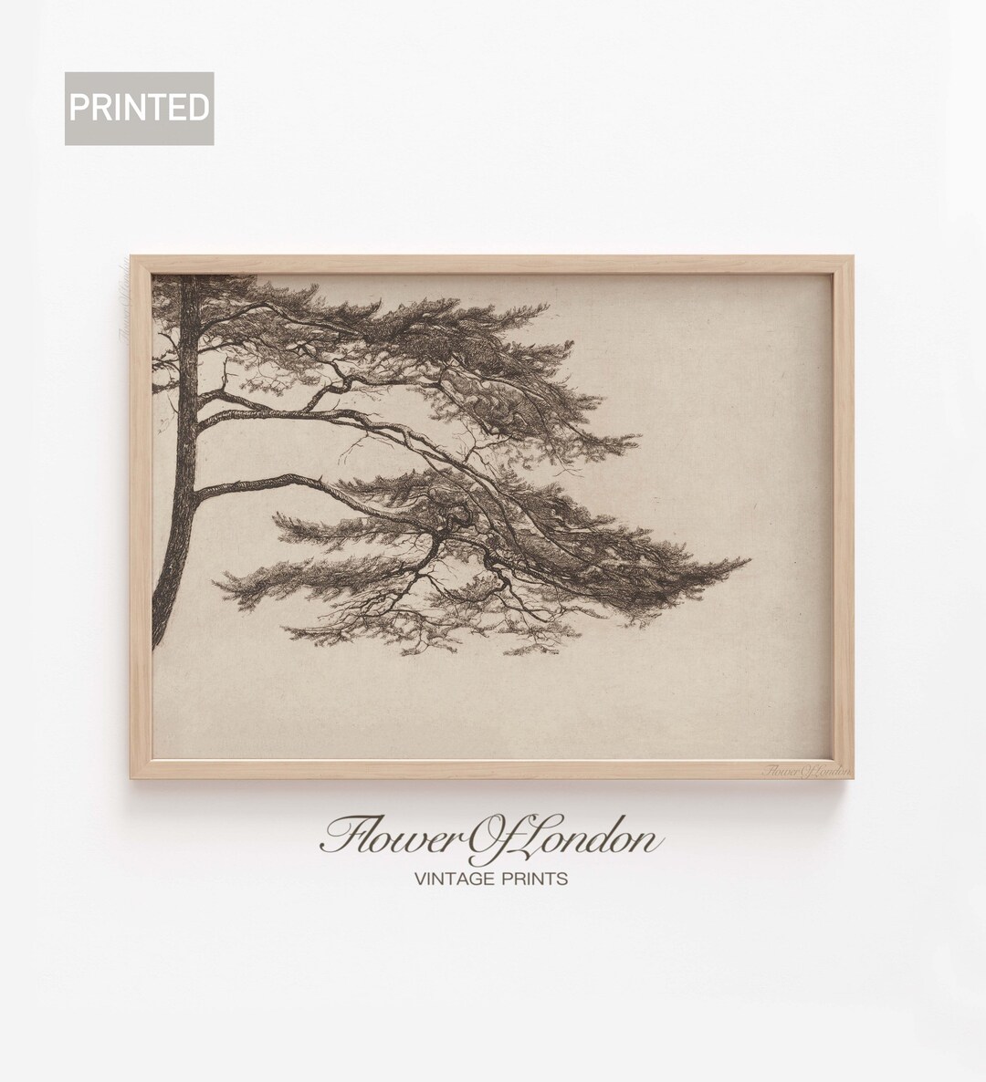 Vintage Pine Tree Sketch Print, Minimalist Tree Branch Drawing Elegant ...