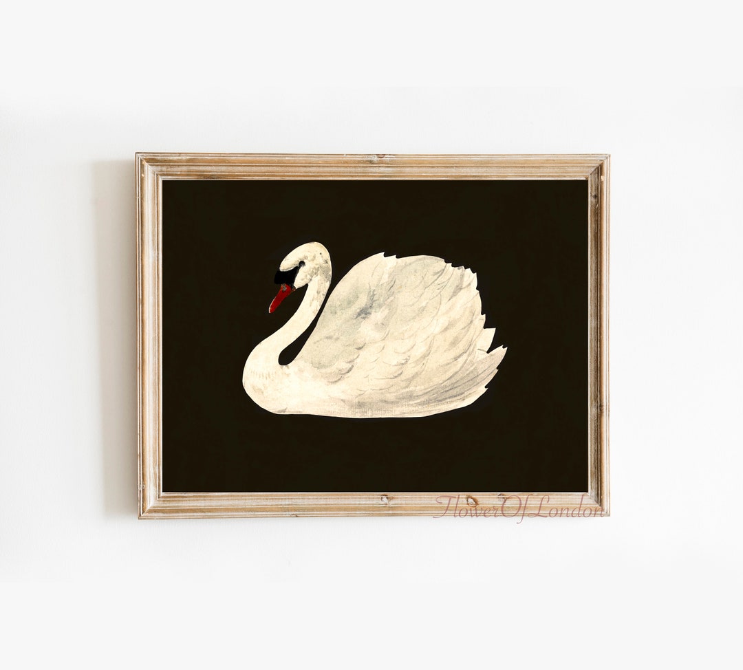 Swan Print, INSTANT DOWNLOAD, White Swan Print, Black Swan Vintage ...