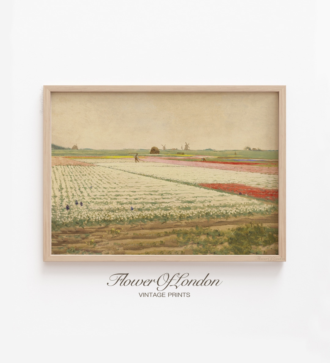 Dutch Tulip Field Print, INSTANT DOWNLOAD, Vintage Amsterdam Muted ...