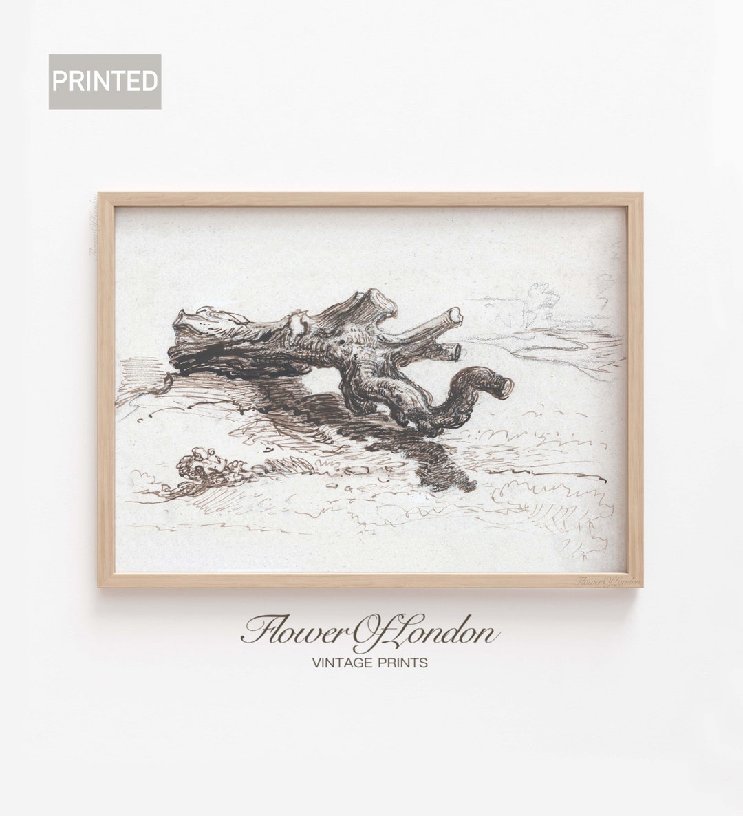 Vintage Tree Snag Sketch Print, Woodlands Forest Tree Branch Stump ...