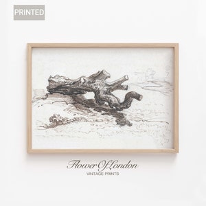 Vintage Tree Snag Sketch Print, Woodlands Forest Tree Branch Stump ...