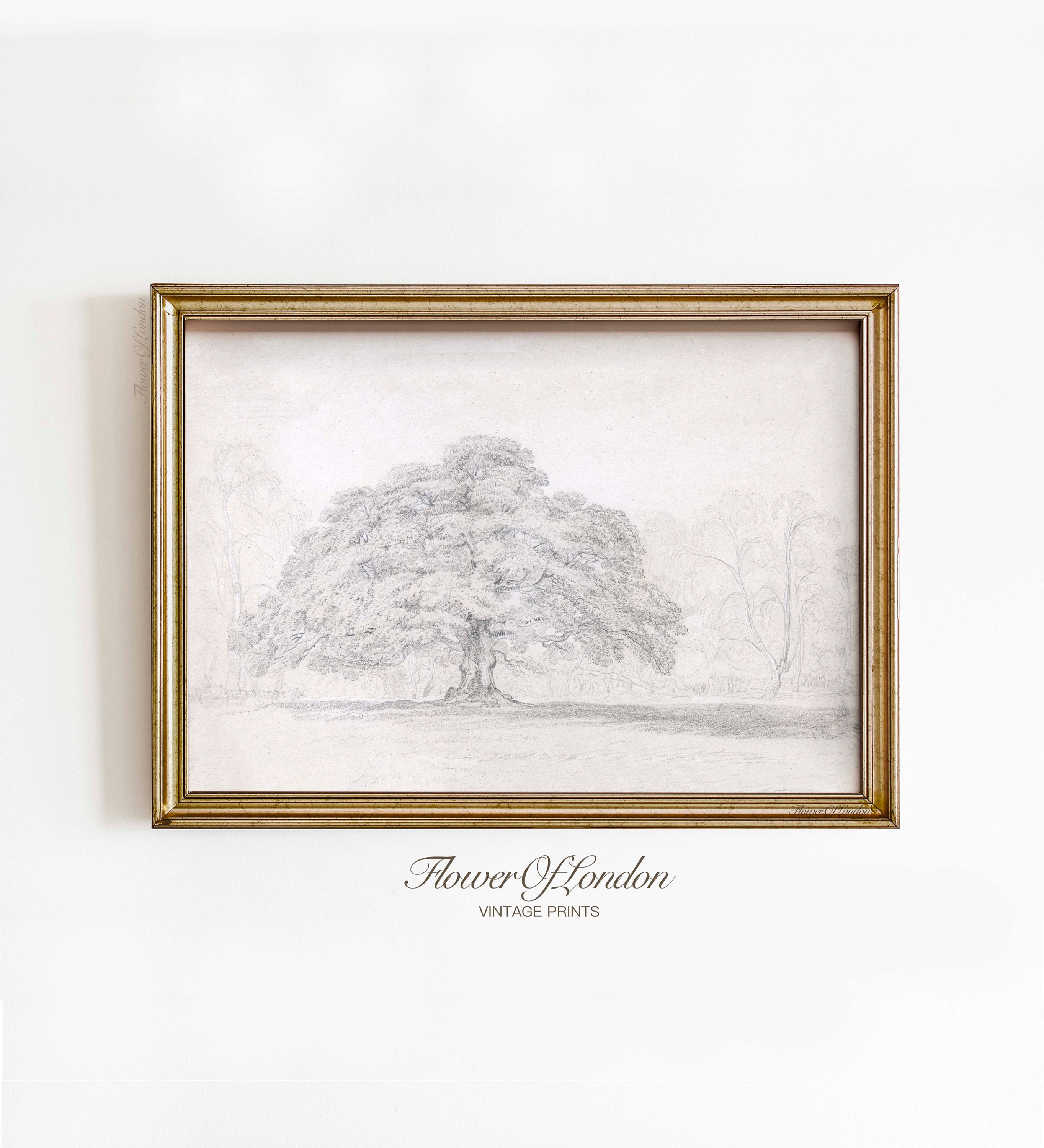 Vintage Tree Sketch Print, INSTANT DOWNLOAD, Woodlands Forest Trees ...