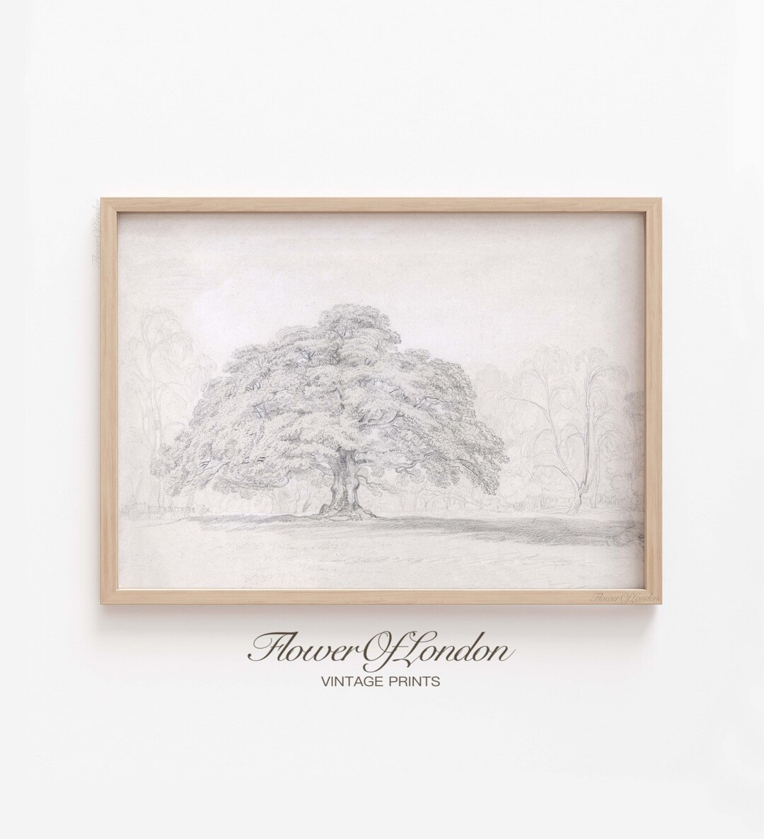 Vintage Tree Sketch Print, INSTANT DOWNLOAD, Woodlands Forest Trees ...