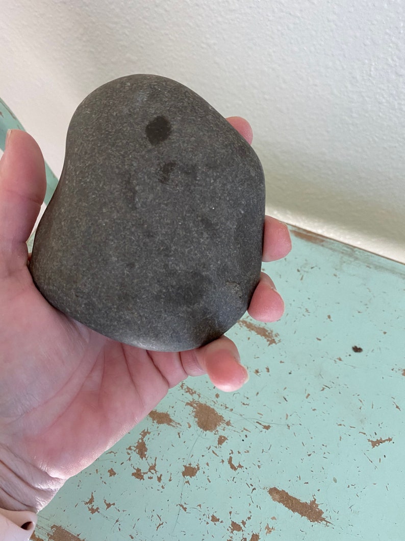 Hand Painted Rock Baby Turtle Tortoise - Etsy