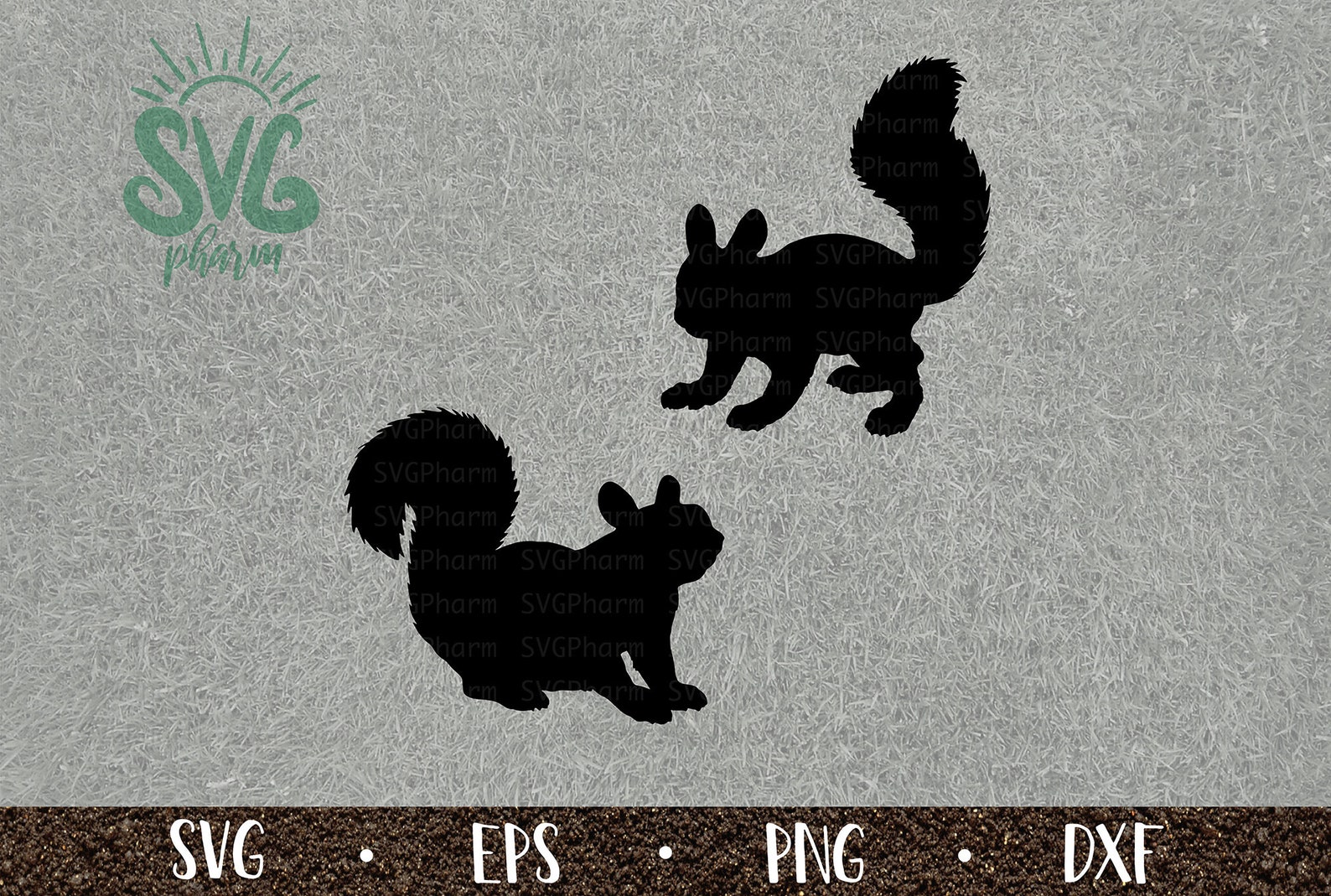 Two Squirrel SVG / Squirrel Vinyl / Cute Squirrels / Png DXF EPS ...