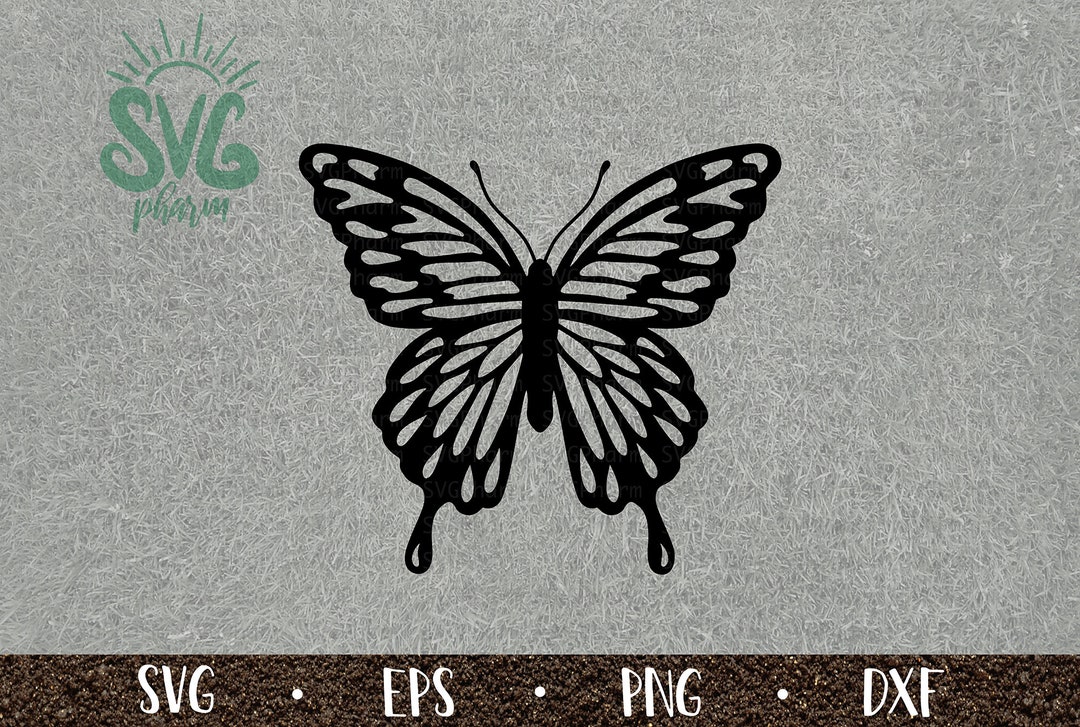 Buttefly SVG / Monarch Butterfly / Beautiful Insect / Butterfly ...