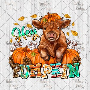 UV Highland Cow Decal Hey Pumpkin Decal UV Sticker - Etsy