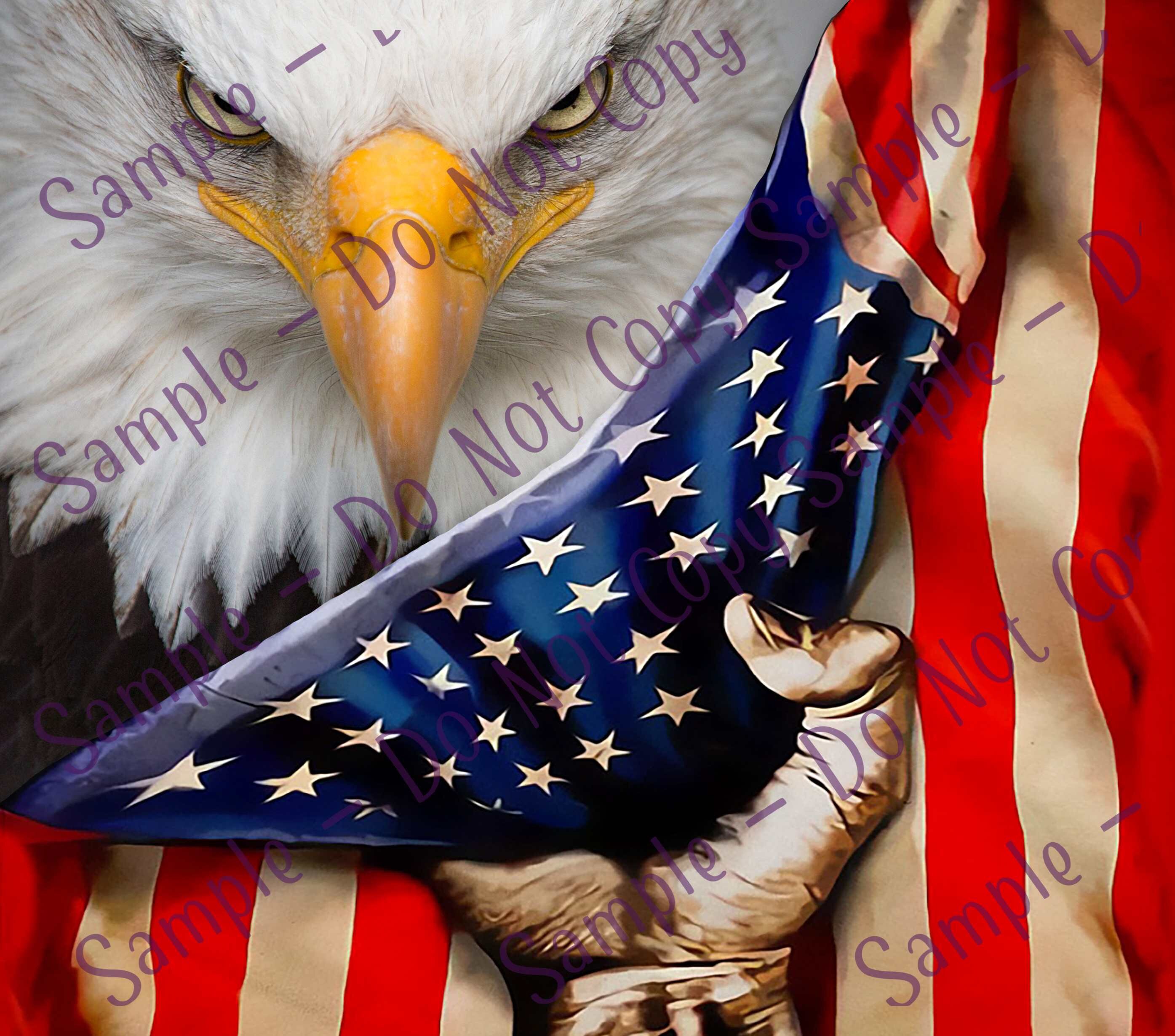 American Flag Eagle Crying