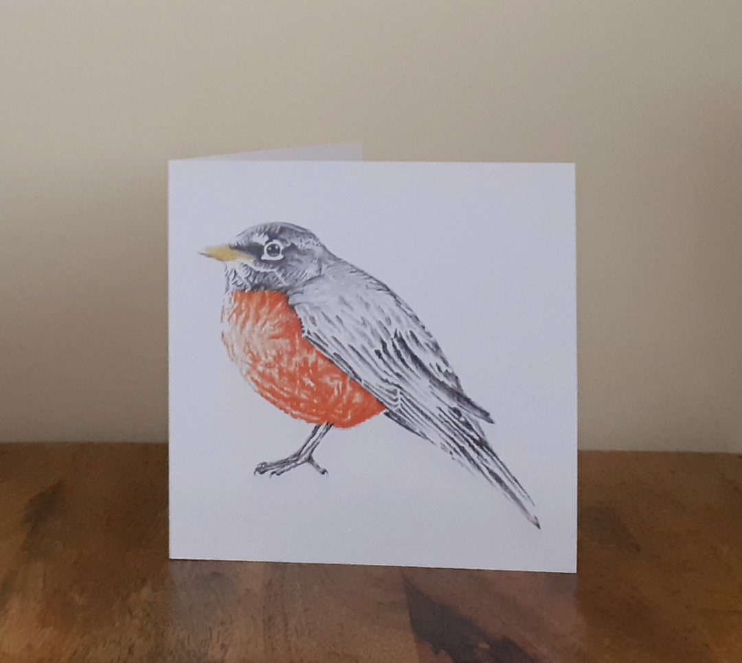Robin Greeting Card - Etsy
