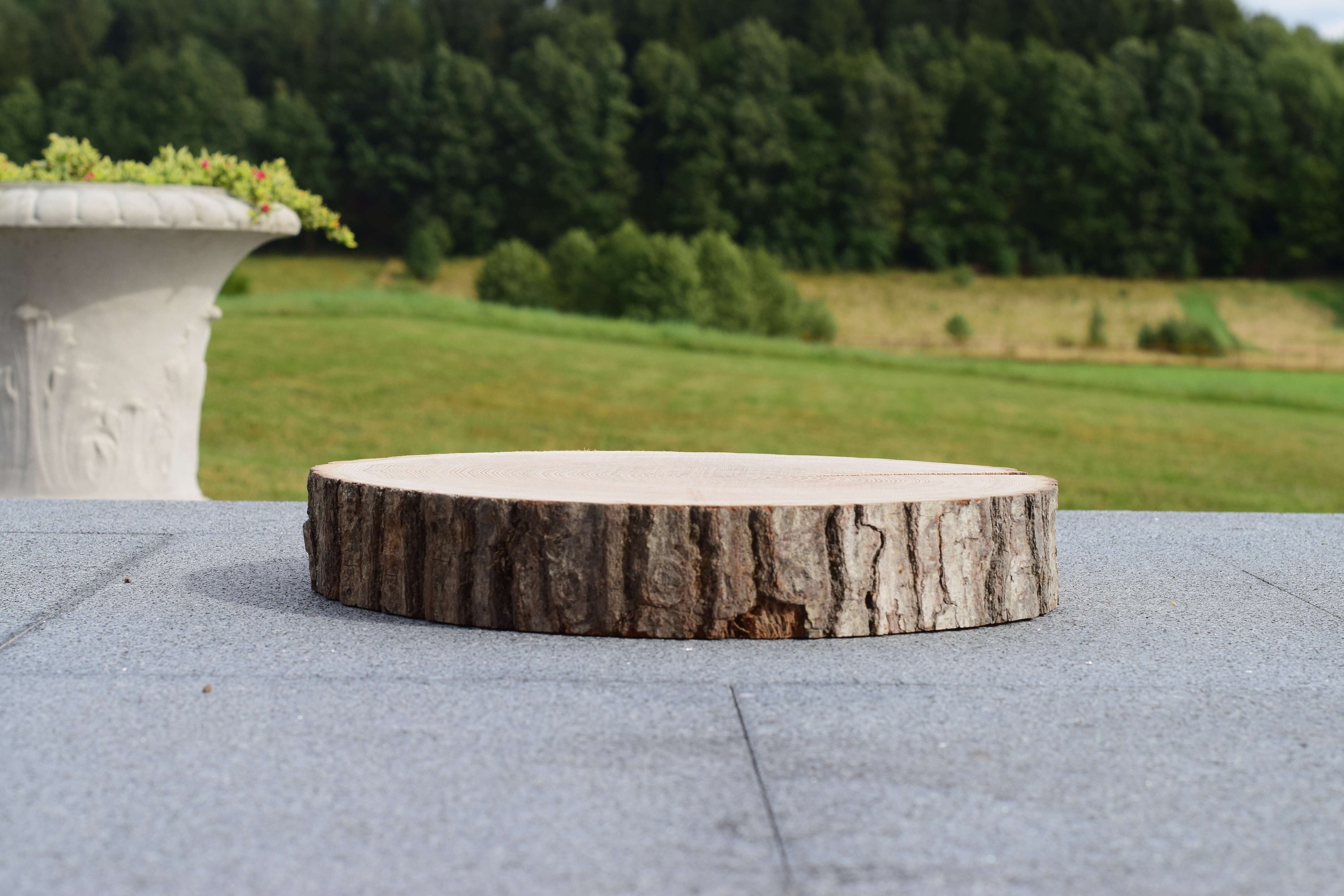 Large Rustic Wood Slices 6 Cm Thick OAK With Bark Decoration - Etsy