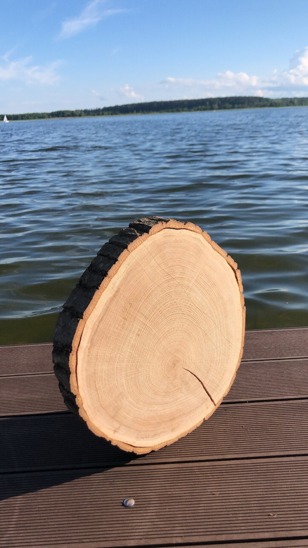 Large Rustic Wood Slices 6 Cm Thick OAK With Bark Decoration Cake Stand ...
