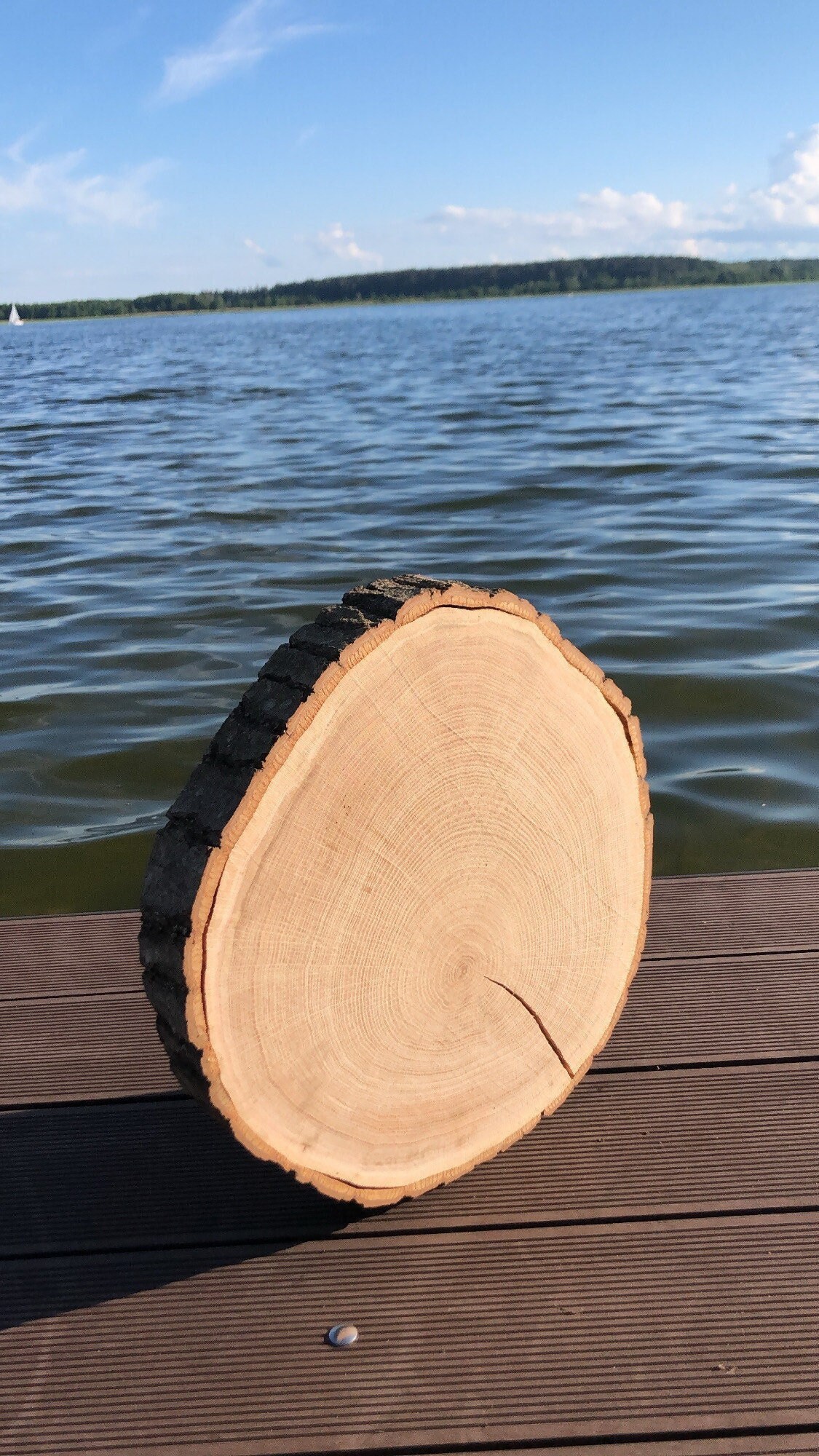 Large Rustic Wood Slices 6 Cm Thick OAK With Bark Decoration - Etsy
