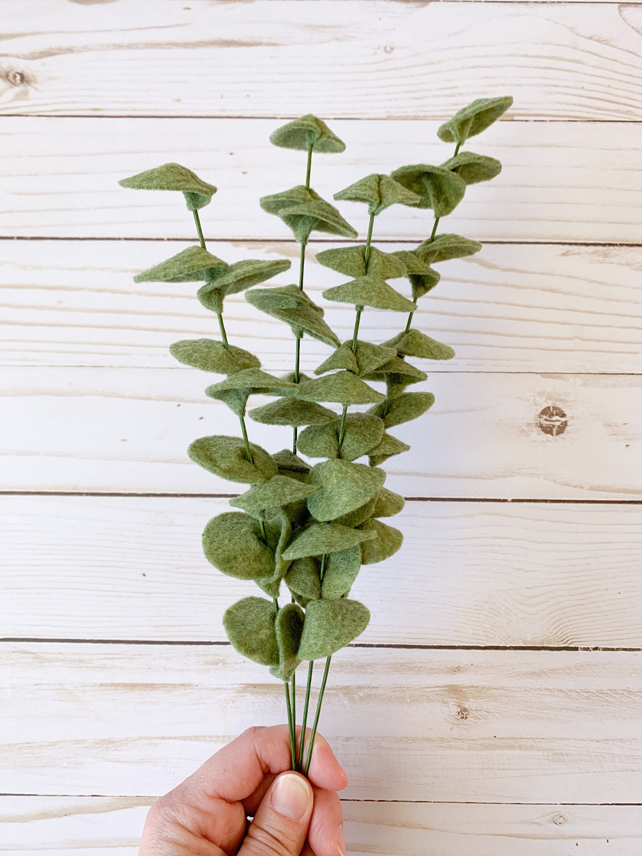 Felt Eucalyptus Stems, Felt Greenery, Green Felt Stems, Eucalyptus ...