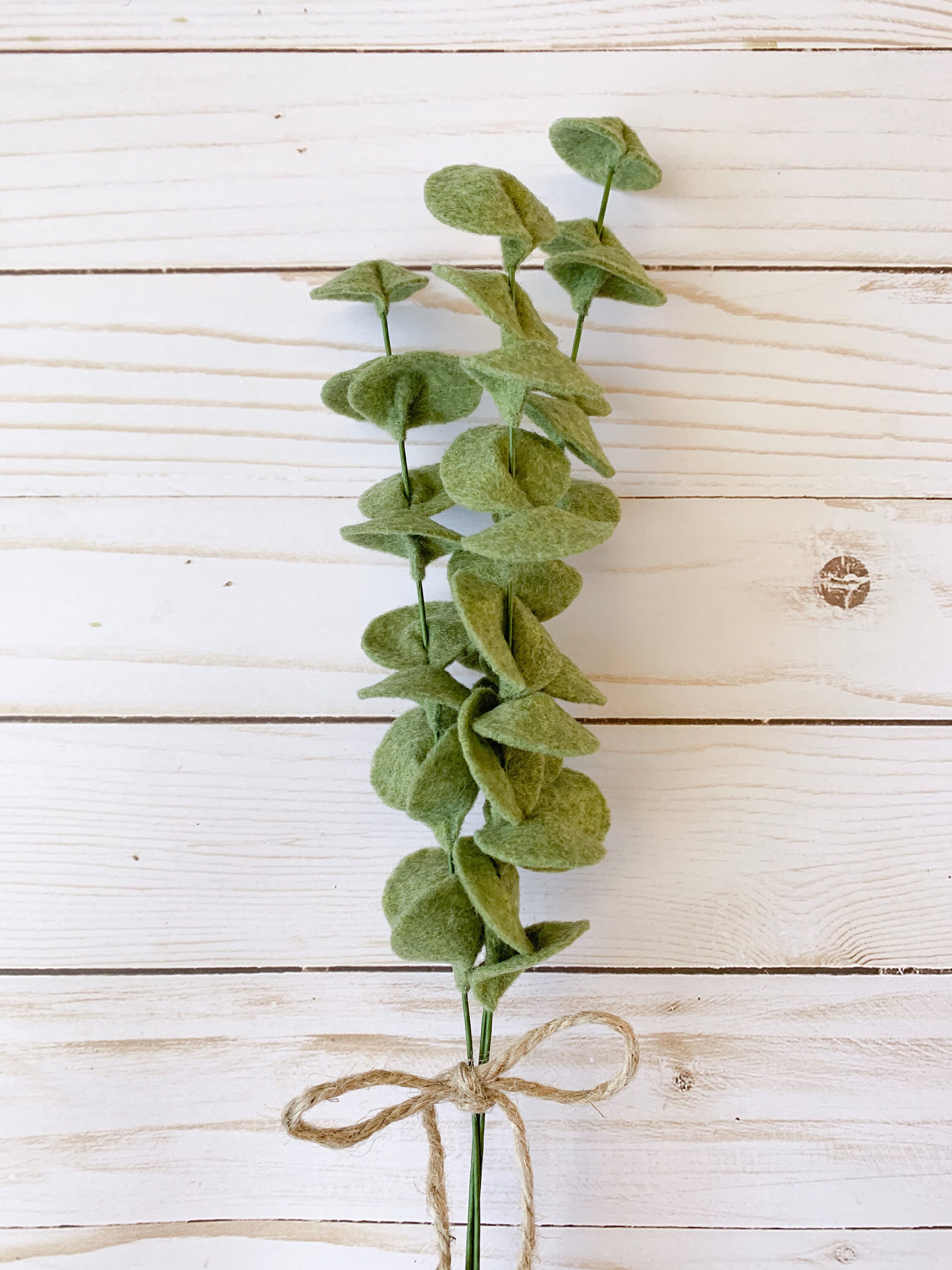 Felt Eucalyptus Stems Felt Greenery Green Felt Stems - Etsy