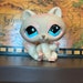 669 Peach Beige Raccoon Gen 2 Littlest Pet Shop LPS Vintage - Etsy