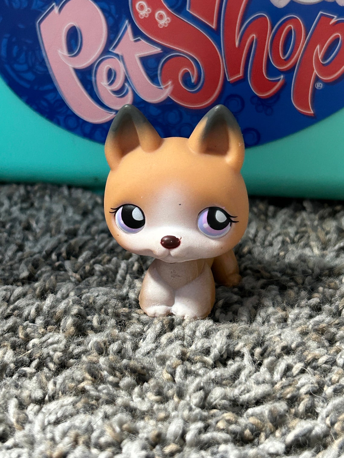 LPS Full Veterinary Clinic Get Better Center With All Parts & Pets ...