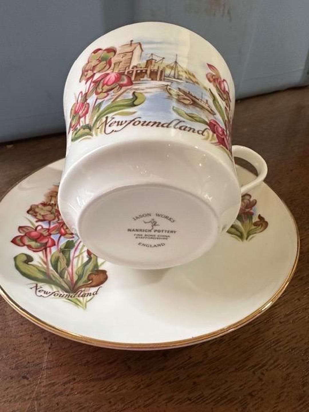 Rare Royal Stuart Newfoundland Vintage Porcelain Tea Cup and Saucer Day ...