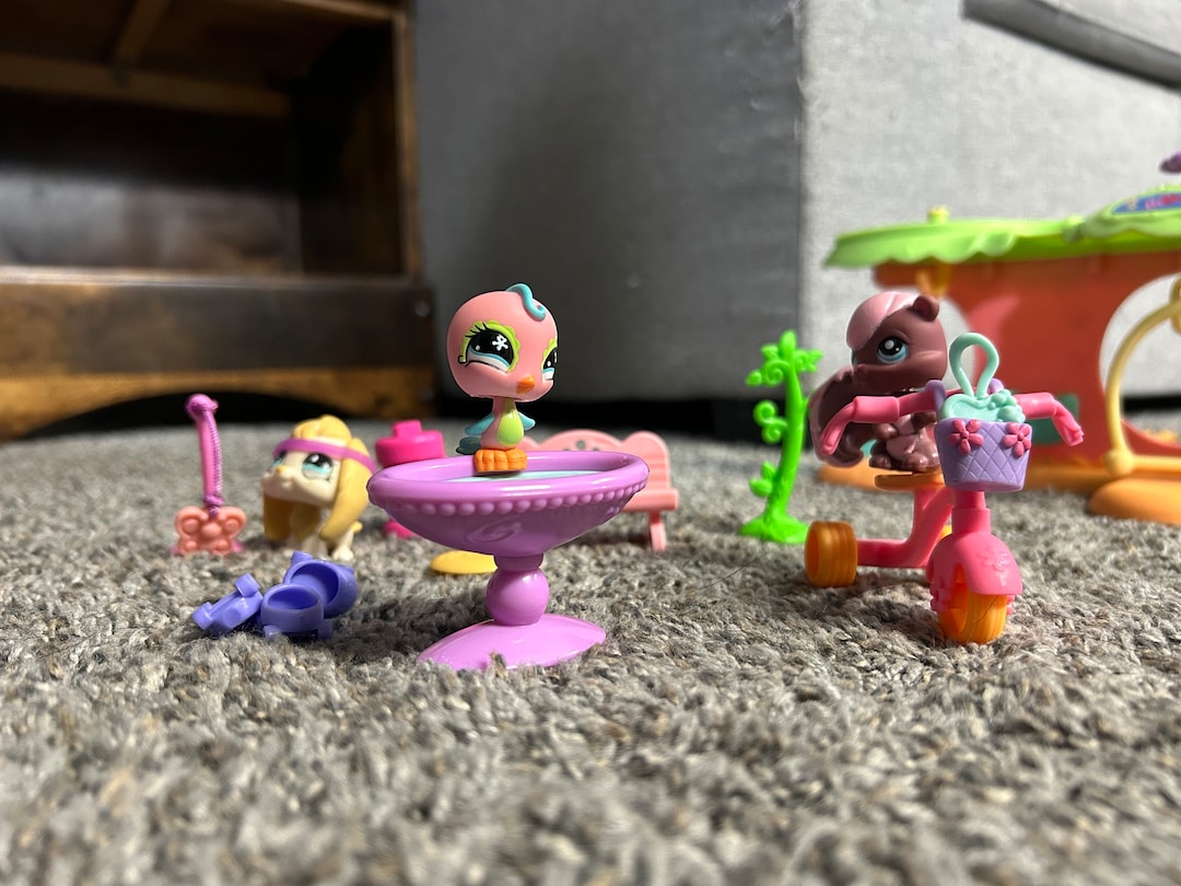 LPS Park and Play Set + Bonus Items *pets NOT Included* - Etsy