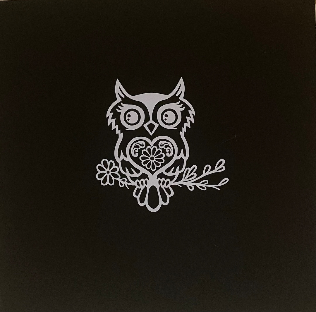 Owl Vinyl Decal Sticker for Car Windows, Laptop Sticker, Tumbler ...