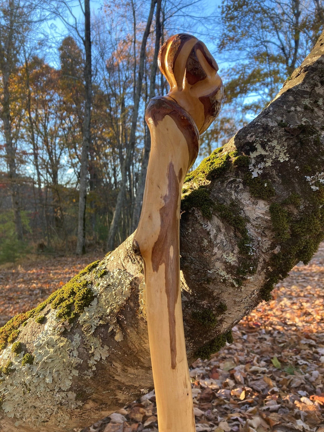 Walking Cane, Wizard's Cane, Witch's Cane - Etsy