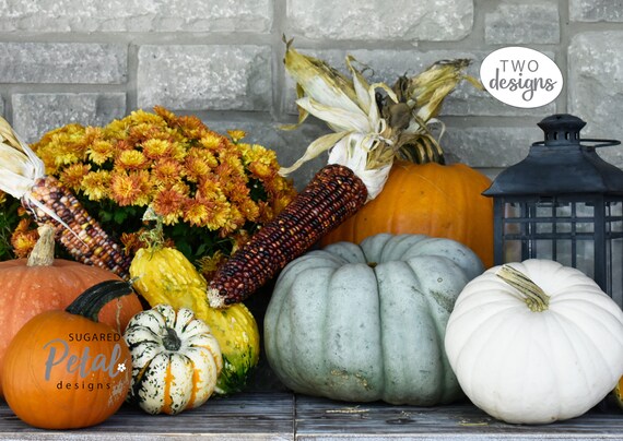 2 Designs Mockup Fall Background Mock-up Digital Download | Etsy