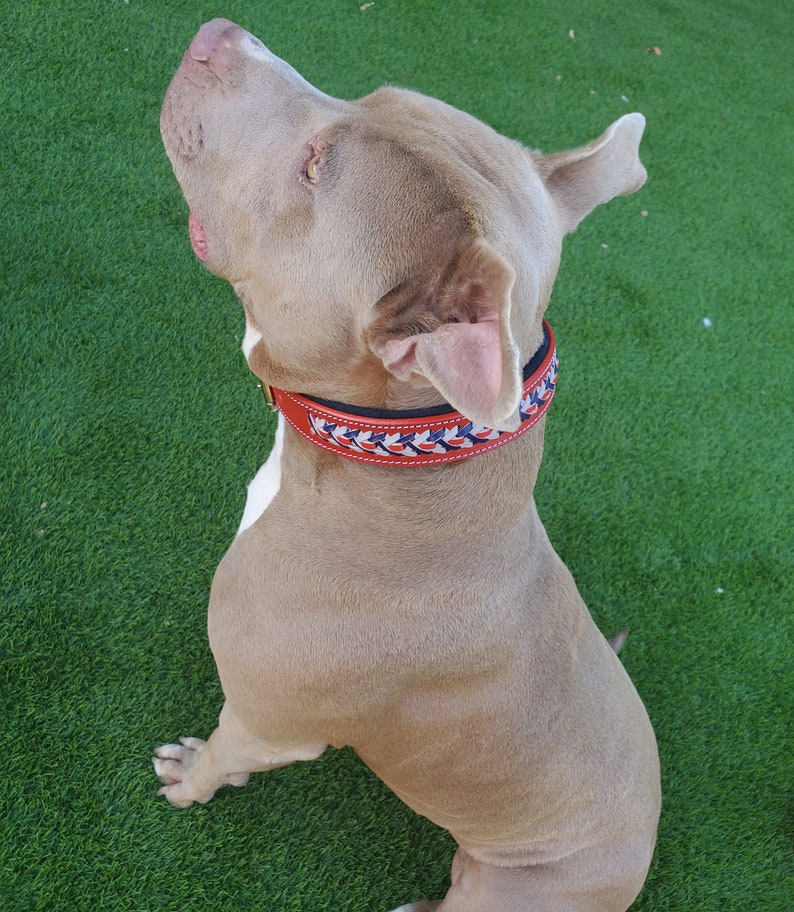 Red White Blue Braided Leather Fancy Designer Dog Collar for | Etsy