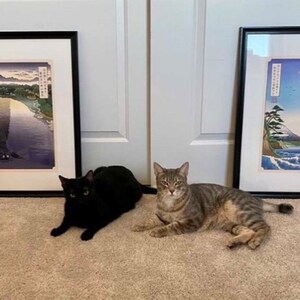 Longcat Vs. Tacgnol - Ukiyo-e Style - Set of 2 Giclee Prints - OFFICIAL ...