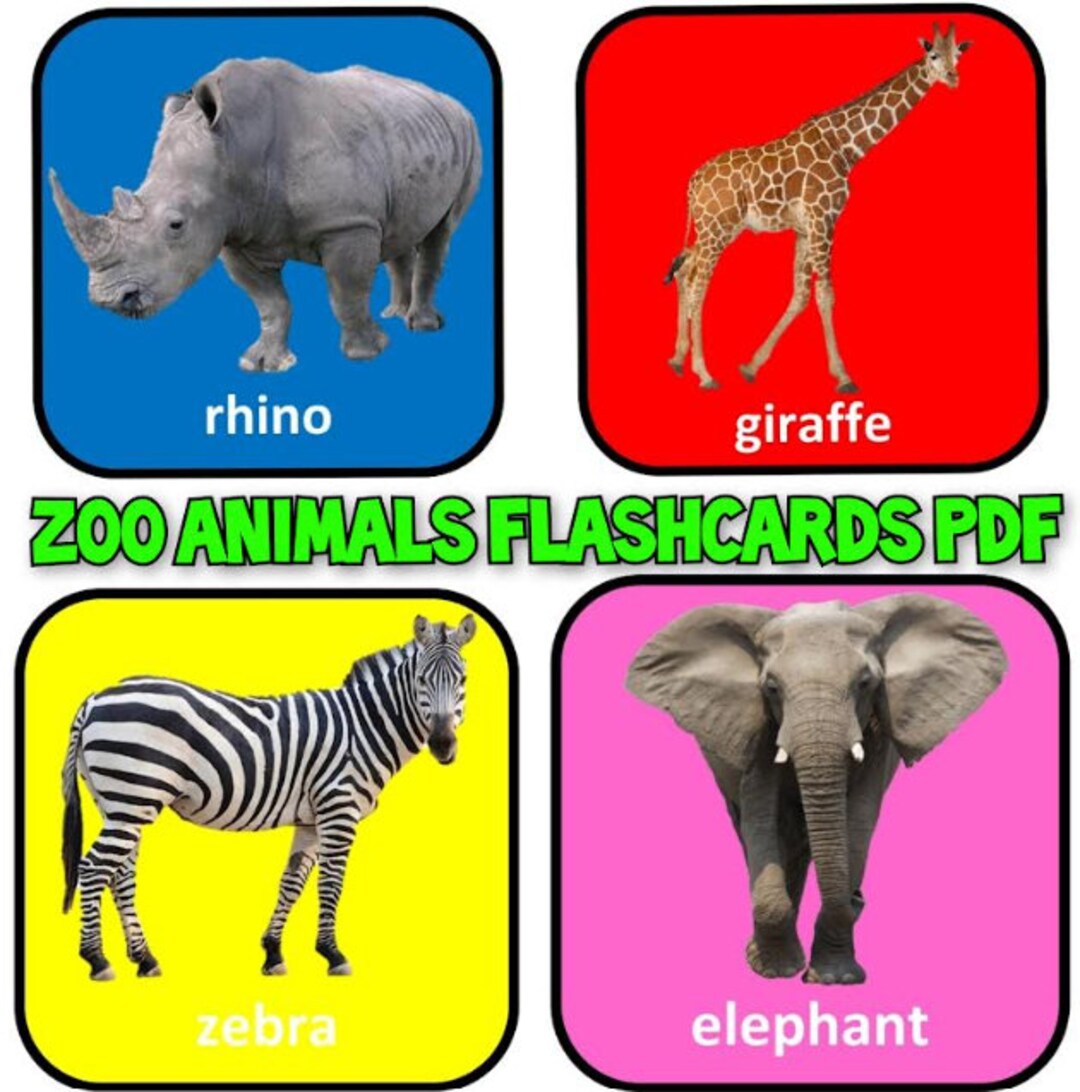 Zoo Flashcards PDF Print at Home Activity, Downloadable Learning, EYFS ...