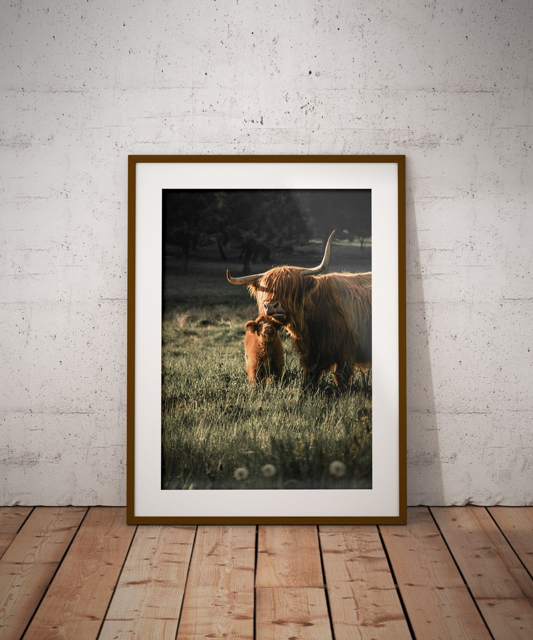 Póster / decoración de pared / animales / vaca de las tierras - Etsy España