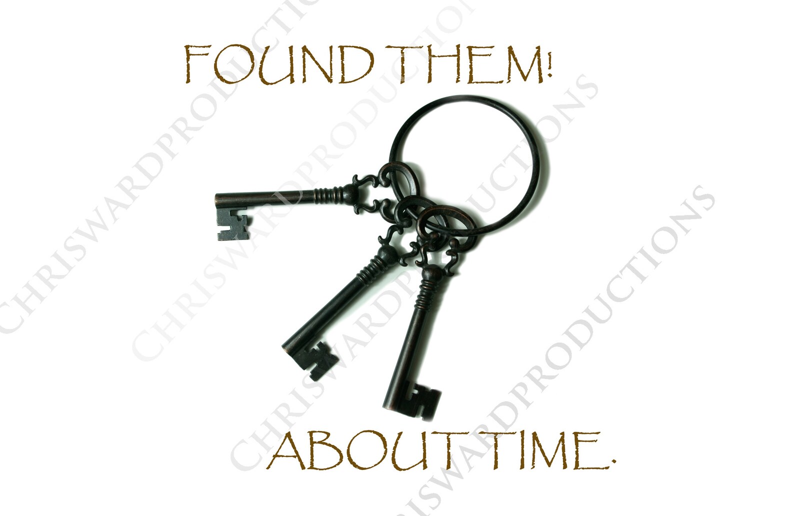 Digital Design Lost and Found Keys Illustration Real Estate Marketing ...