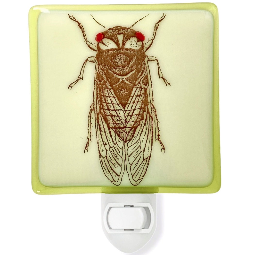 Cicada Night Light, Cicada With Red Eyes Art - Etsy