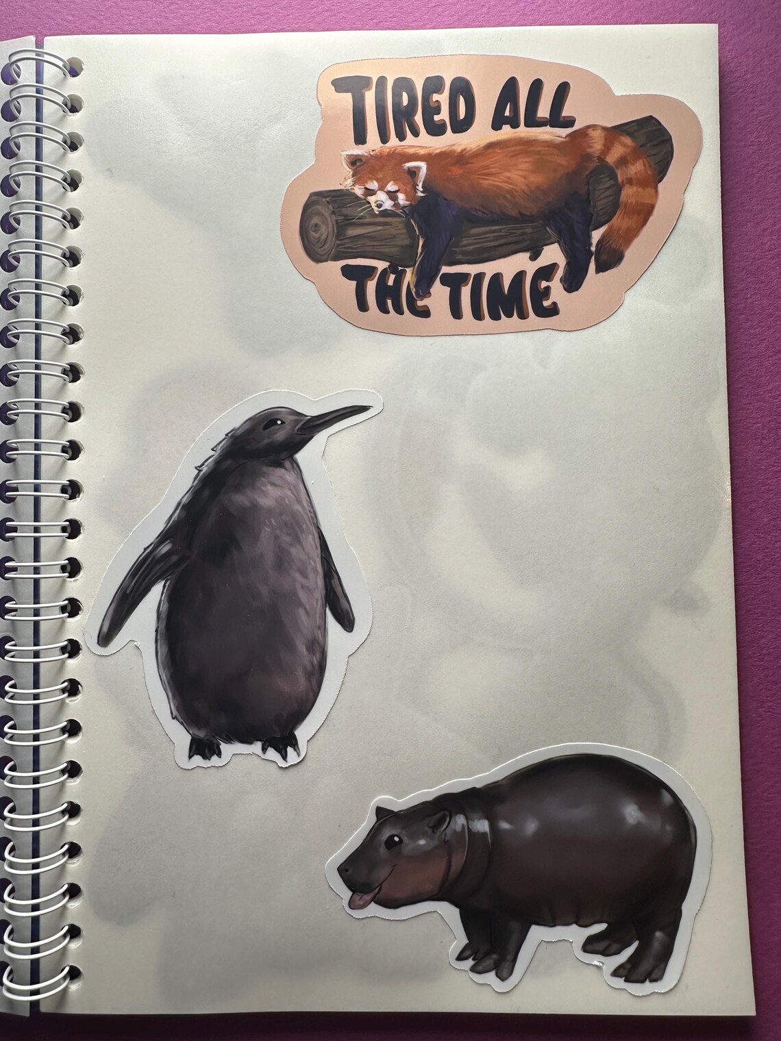 Baby Pygmy Hippo Sticker, Thailand's Moo Deng, Laptop Decal - Etsy