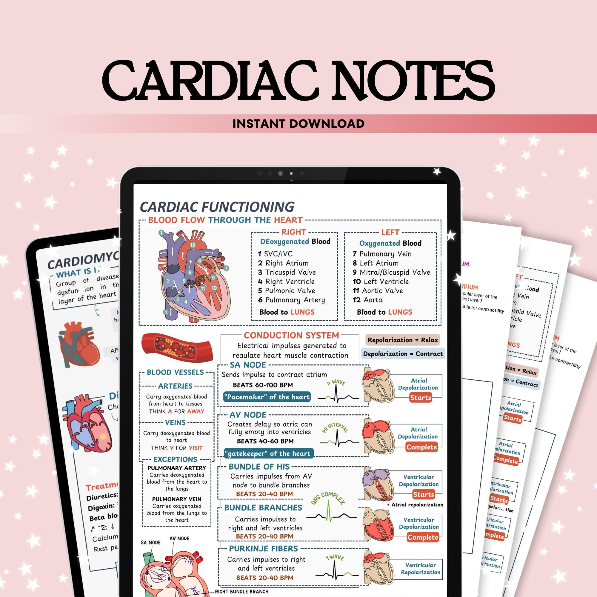 Cardiac Nursing Notes Study Bundle 25 Topics 16 Sheets, Cardiac ...