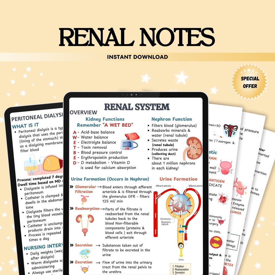 Renal Nursing Guide Bundle, Renal System Nursing Notes 25 Topics 16 ...