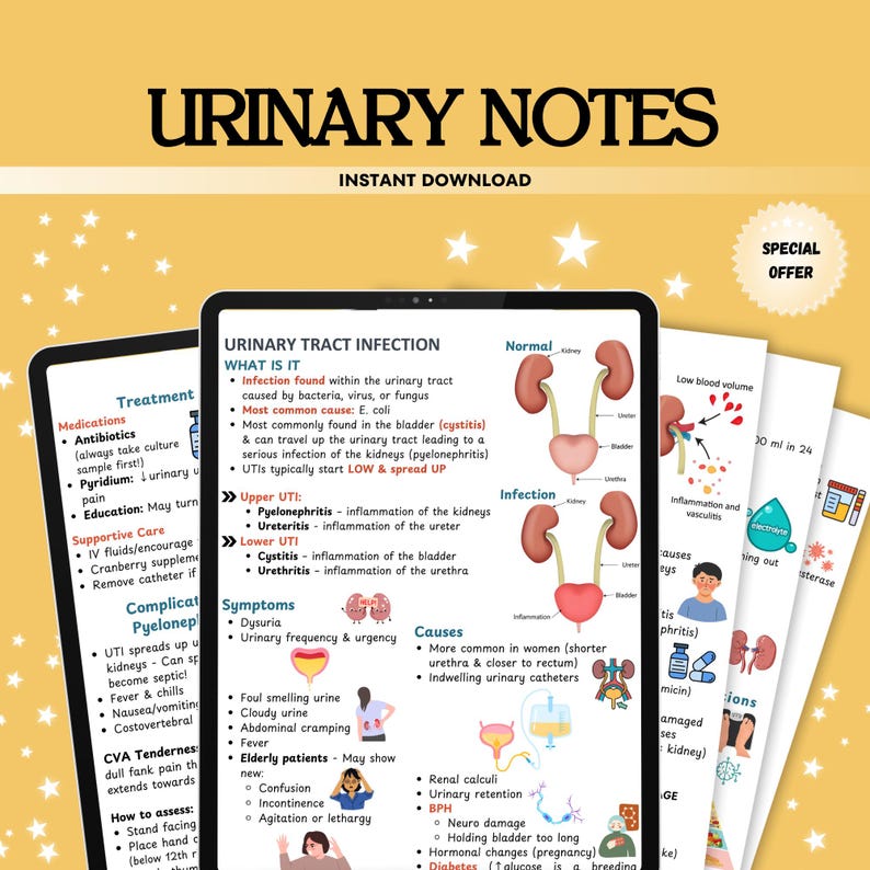 Renal Nursing Guide Bundle, Renal System Nursing Notes 25 Topics 16 ...