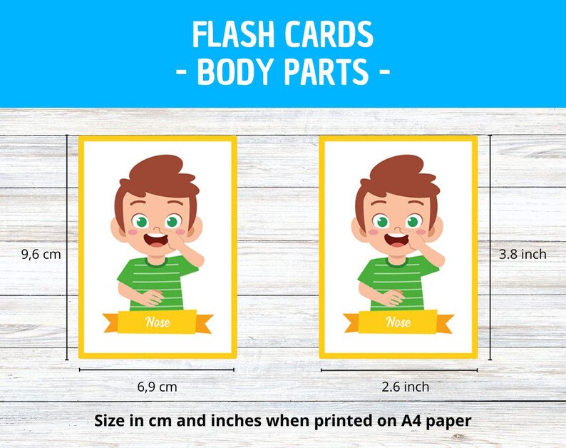 Tarjetas didácticas sobre las partes del cuerpo para niños: 20 tarjetas ...