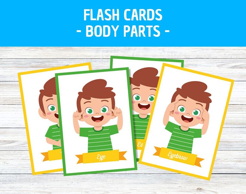 Tarjetas didácticas sobre las partes del cuerpo para niños: 20 tarjetas ...